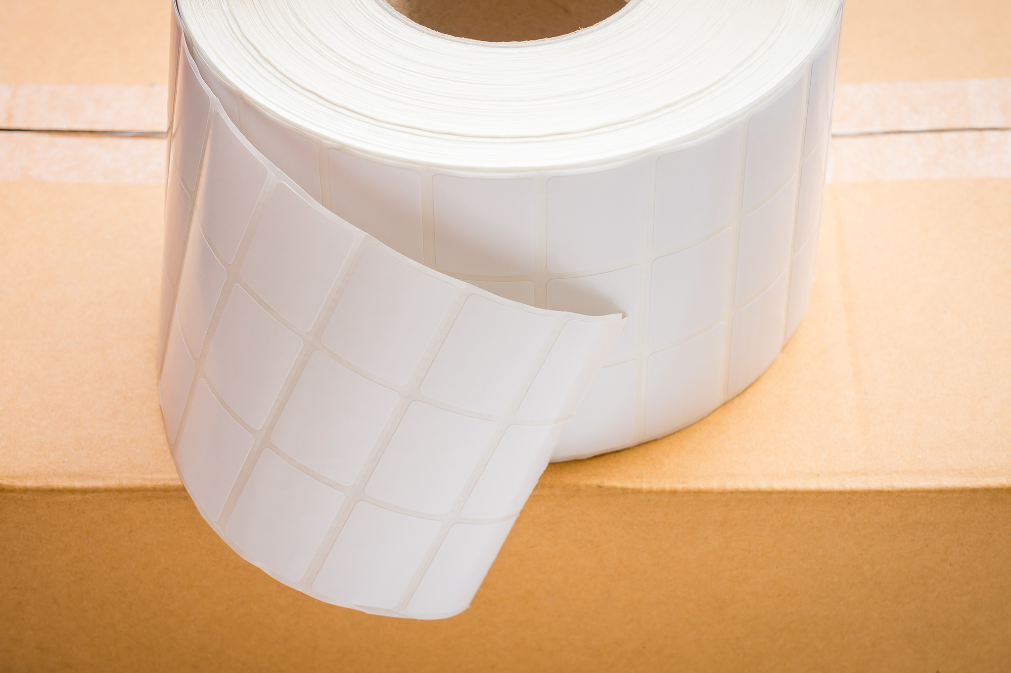 What Kind of Label Material is Right for Your Product?