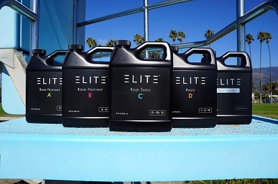 Custom Cannabis Labels | Medical Marijuana Labels